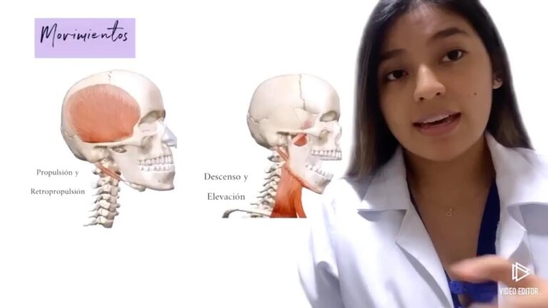 Todo sobre las Articulaciones de la Cabeza y el Cuello: Anatomía, Funciones y Cuidados ...