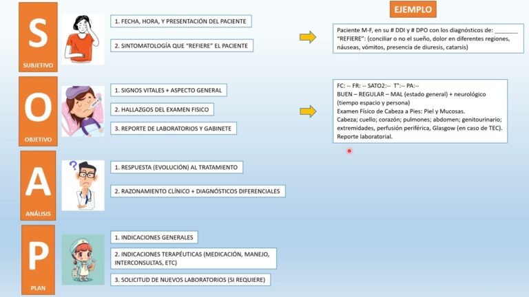 Hoja de Evolución de un Paciente: Guía Completa y Plantillas Efectivas ...