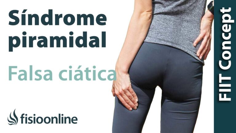 ¿Qué es el Síndrome del Músculo Piramidal? Síntomas, Causas y ...